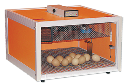 INCUBADORA CIP CIP 40 - 40 OVOS | Disgan